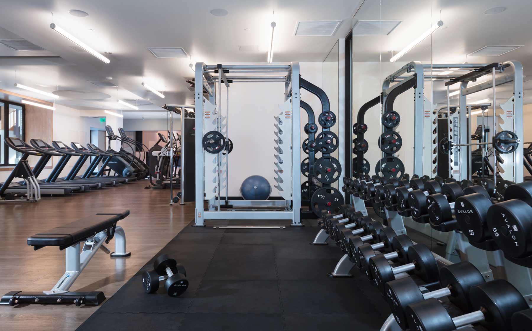 Avalon Dogpatch | AvalonBay Communities