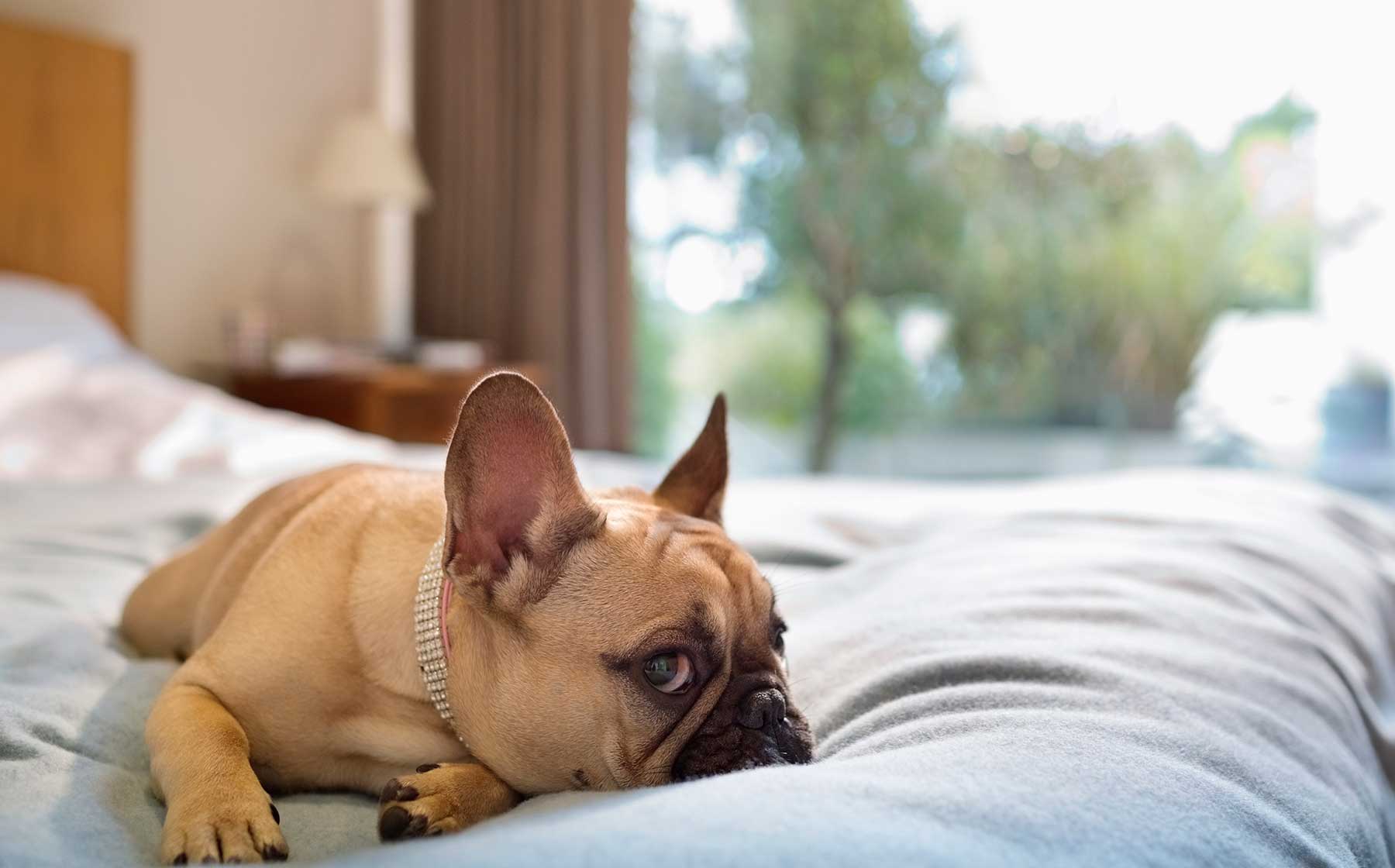 Avalon Dogpatch | AvalonBay Communities