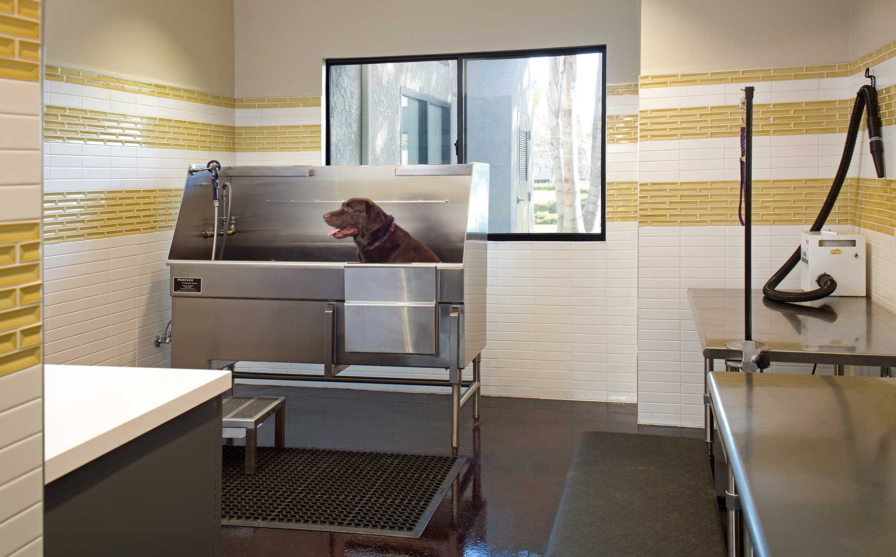 Avalon La Jolla Colony | AvalonBay Communities