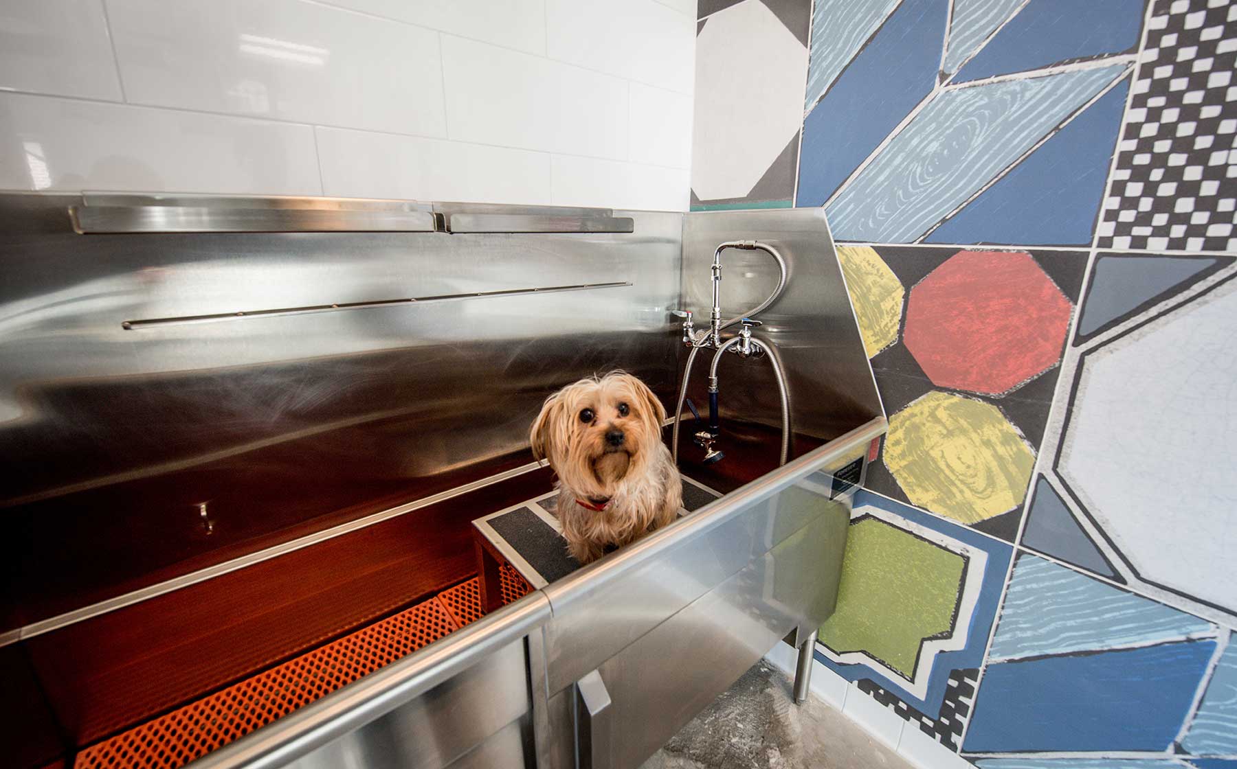 AVA Wheaton | AvalonBay Communities