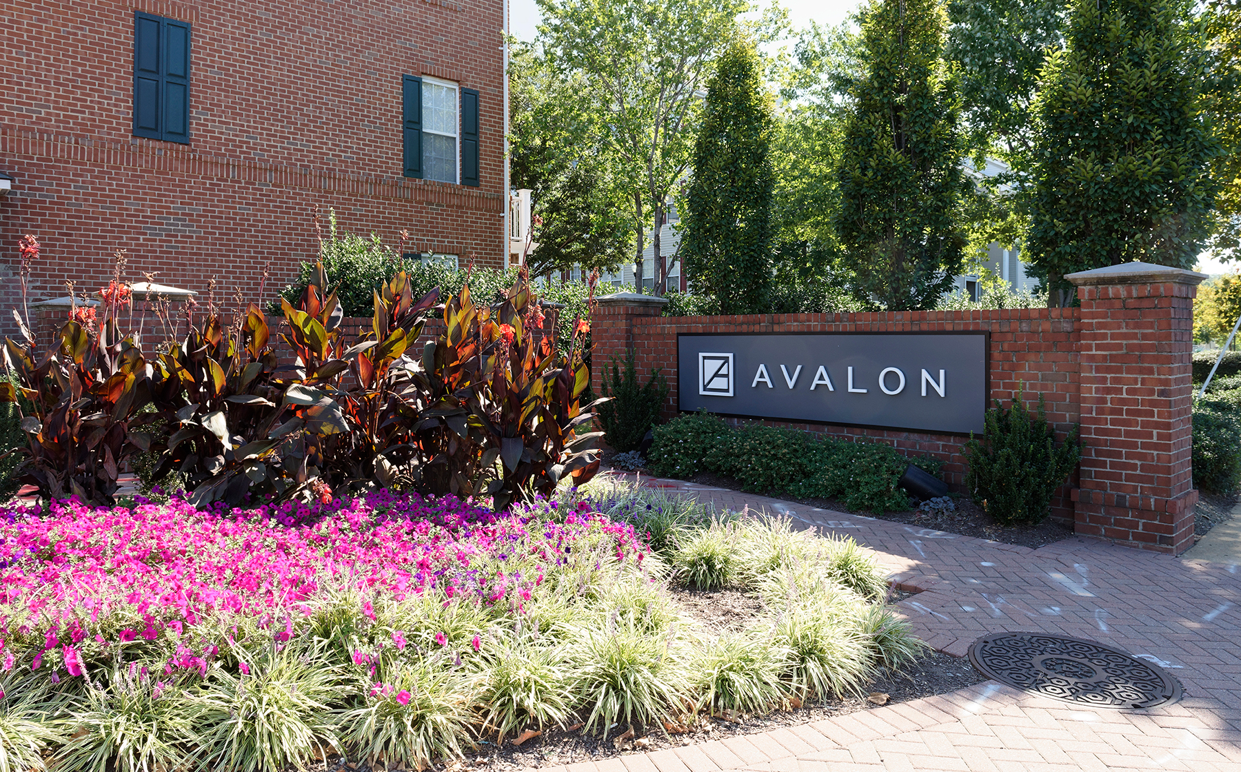 Avalon at Arlington Square | AvalonBay Communities
