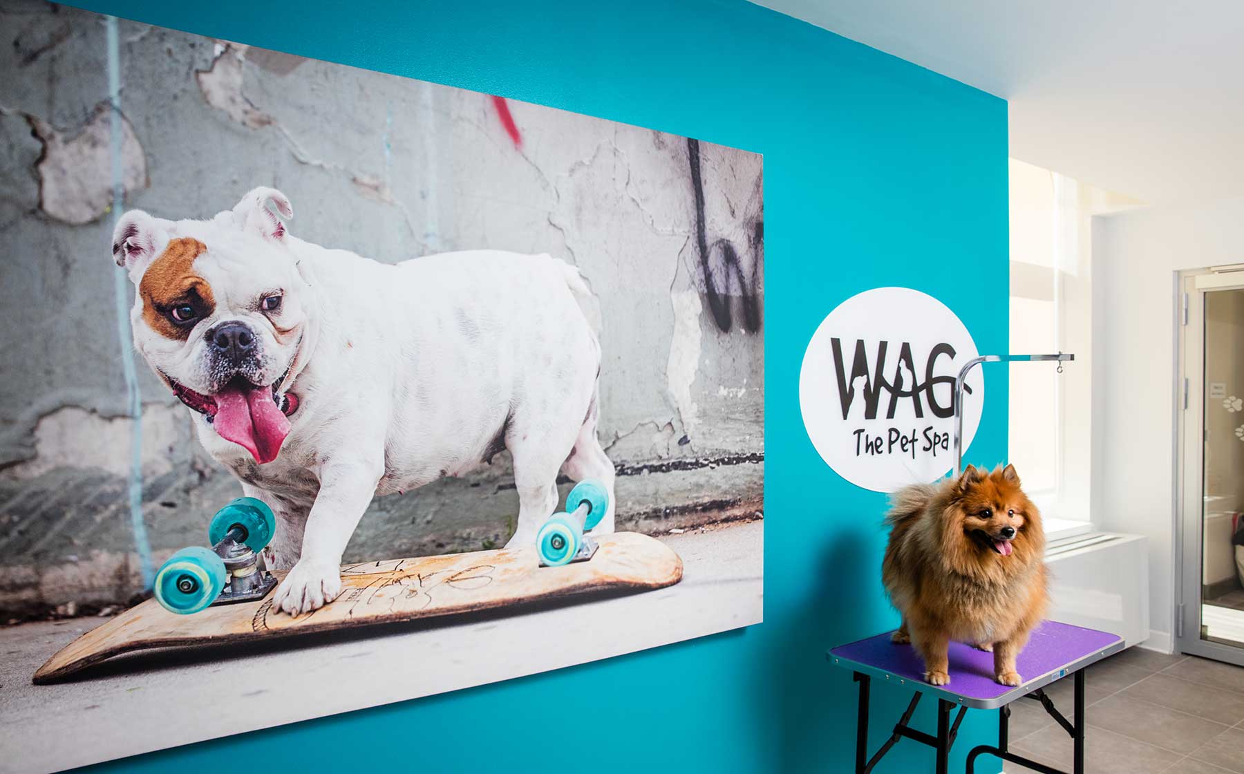 Apartments for Rent in New York | AvalonBay Communities