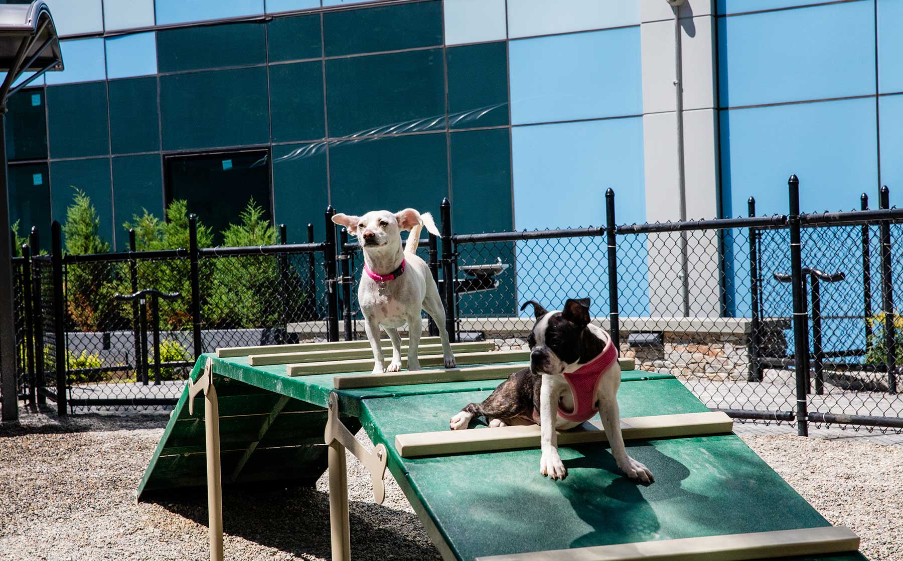 Apartments for Rent in New York | AvalonBay Communities