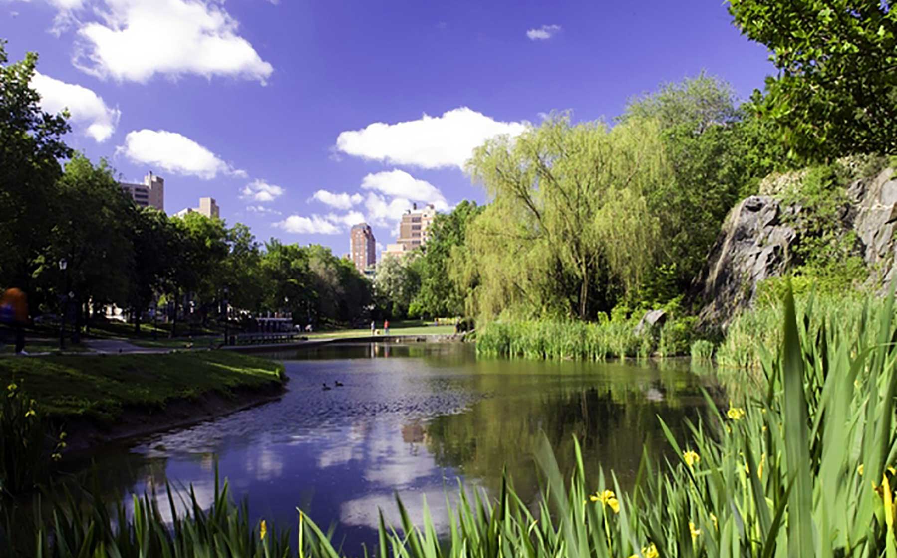 Avalon Morningside Park | AvalonBay Communities