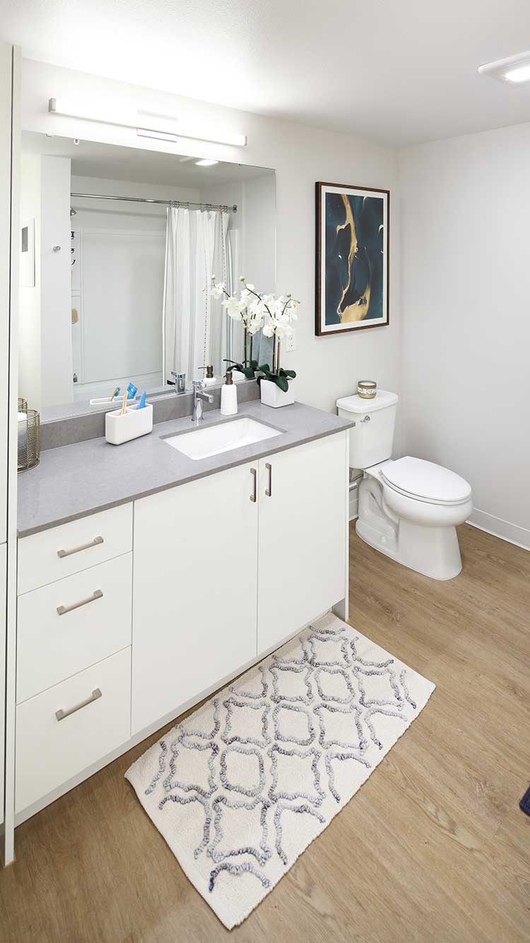 Avalon Newcastle Commons | AvalonBay Communities