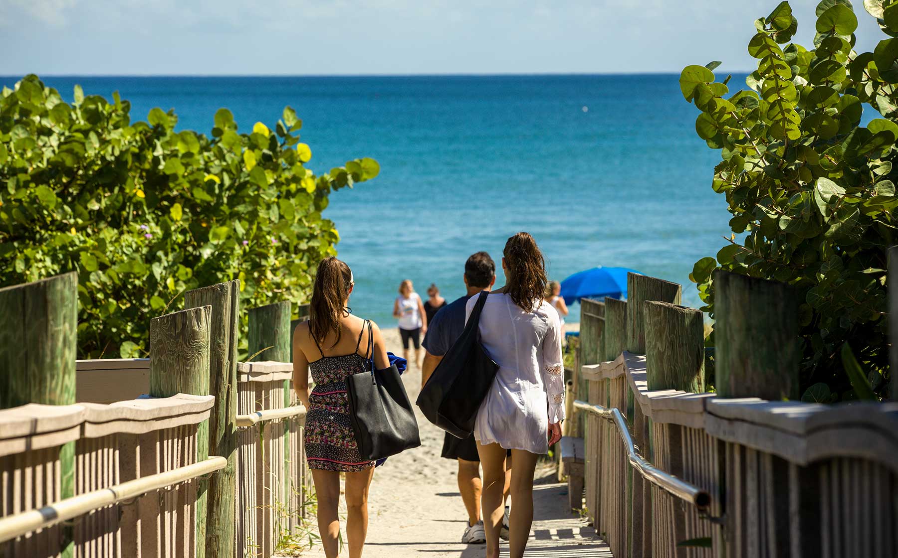 Avalon 850 Boca| AvalonBay Communities